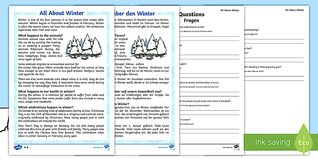 Winter Differentiated Reading Comprehension Activity English/German