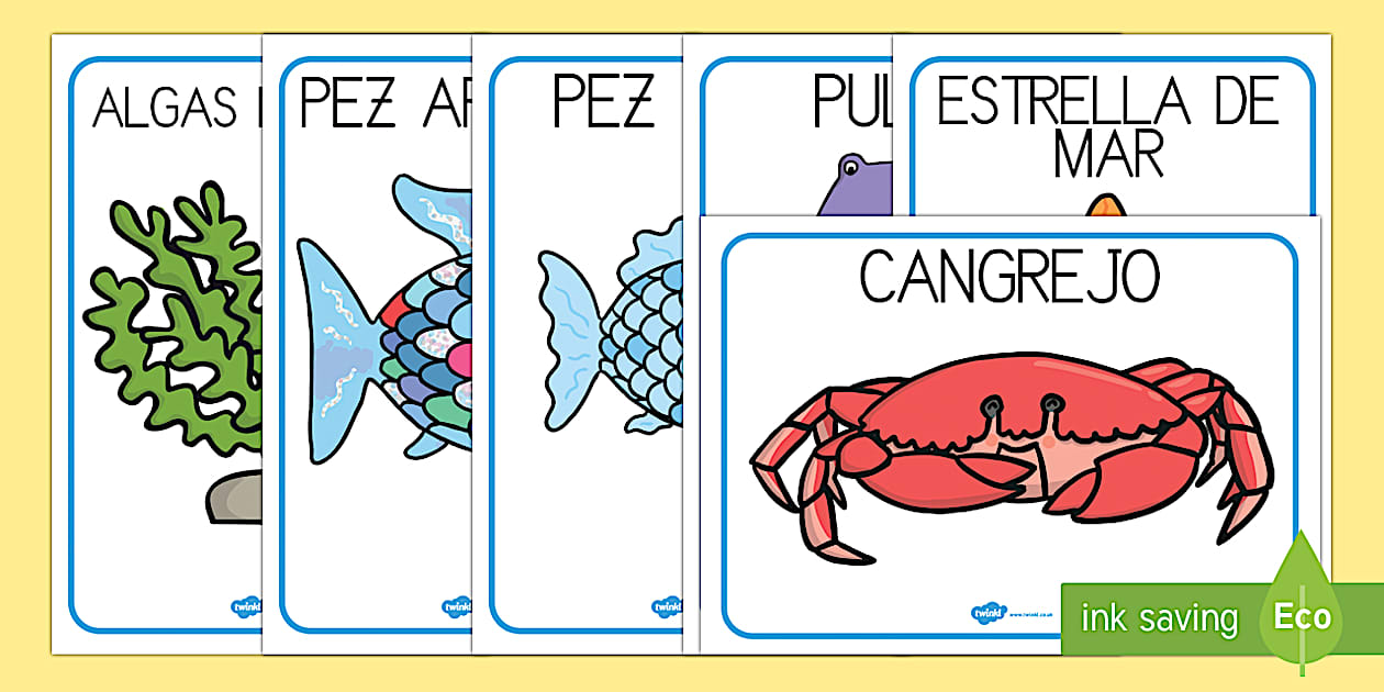 El pez arcoiris Tarjetas de vocabulario