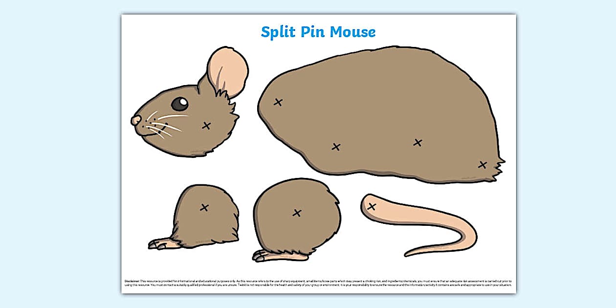 Mouse Split Pin Activity - Twinkl - KS1 (teacher made)