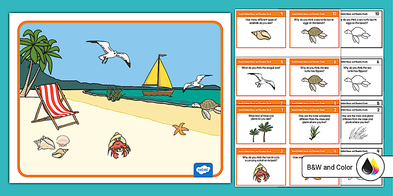 Beach Trivia Questions | Kindergarten Resource | Twinkl USA
