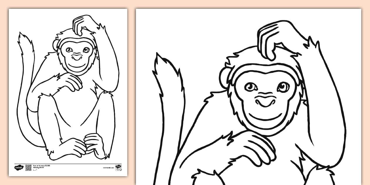 Brown Monkey Colouring | Colouring Sheet (teacher made)