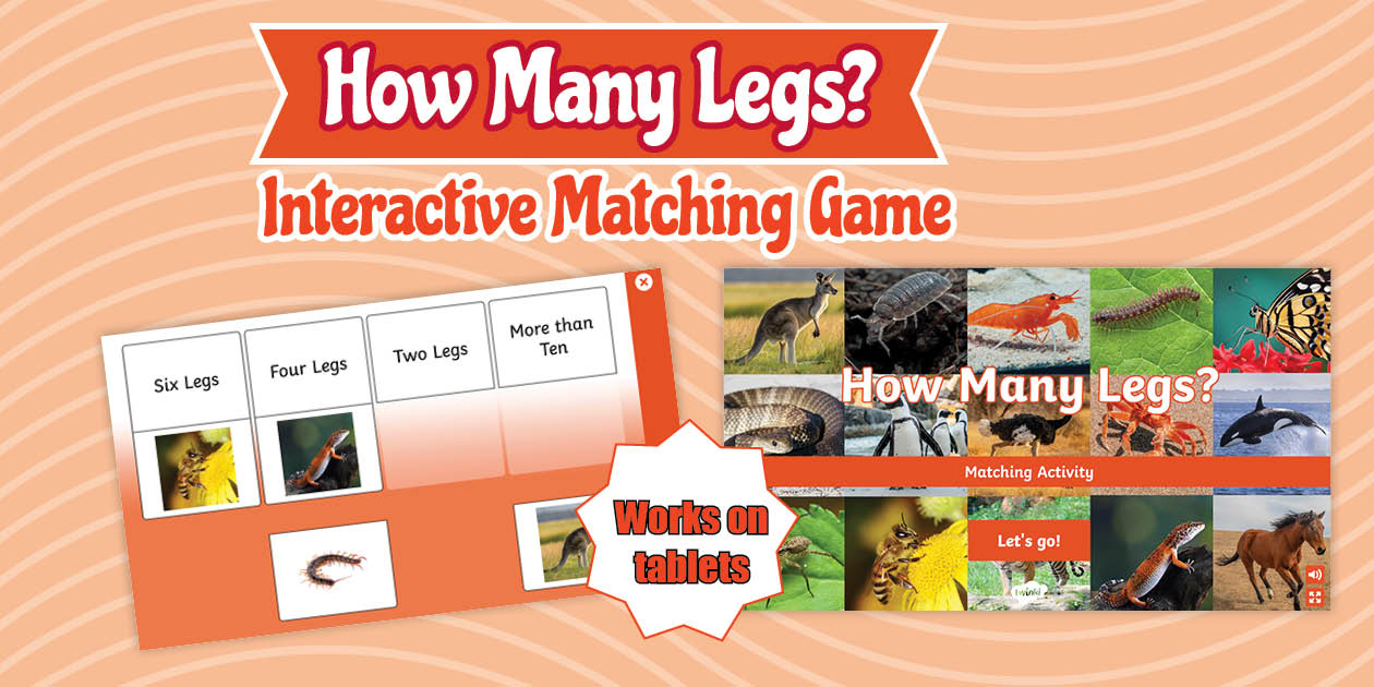 How Many Legs? Interactive Matching Game