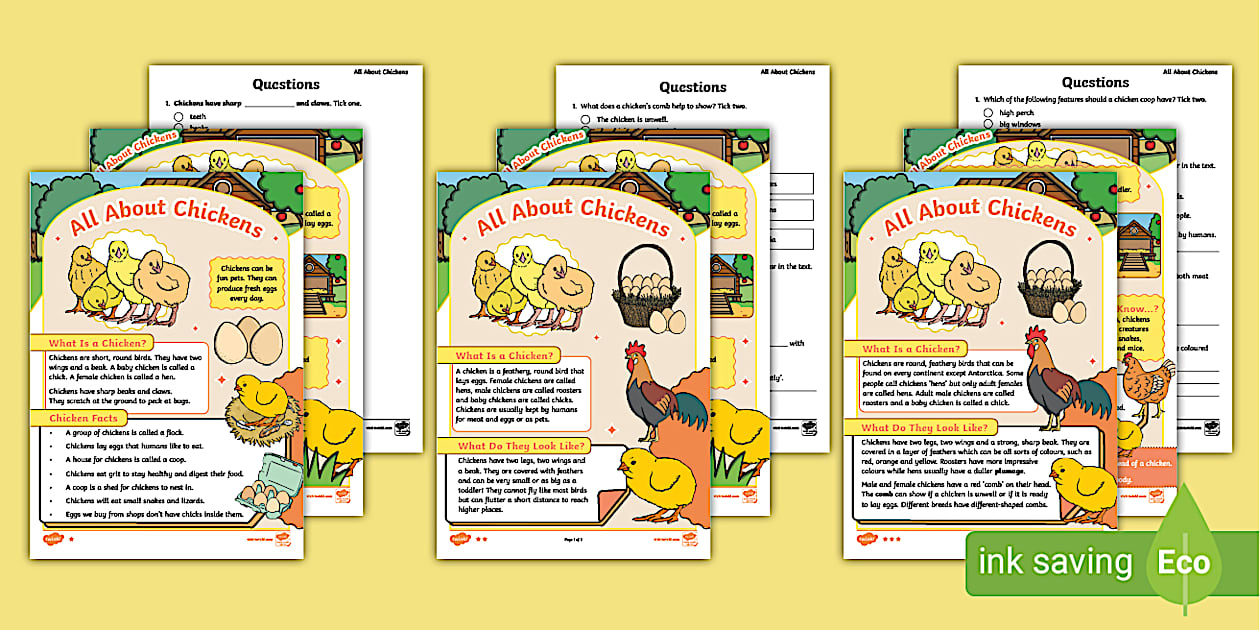 KS1 All about Chickens Reading Comprehension Activity