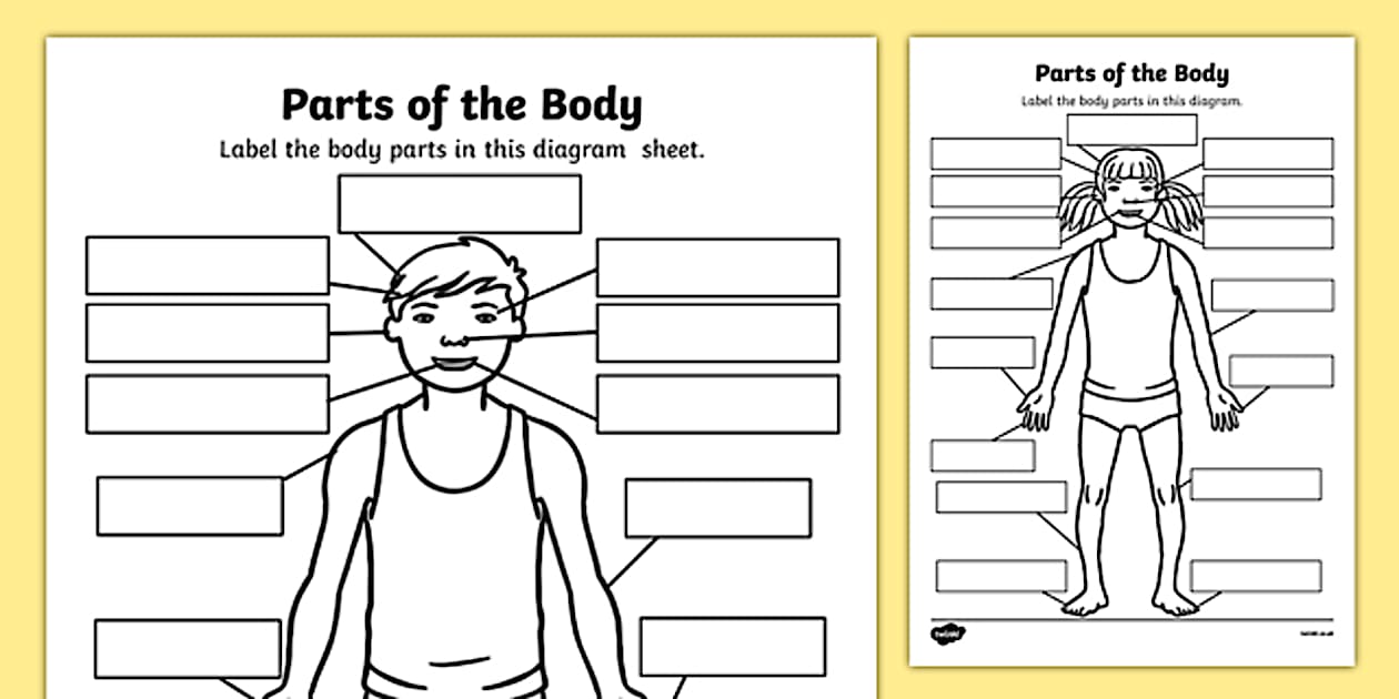 Body Parts Worksheet PDF Pack - Twinkl Teaching Resources