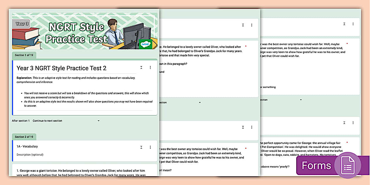 Year 3 NGRT Style Practice Test 2
