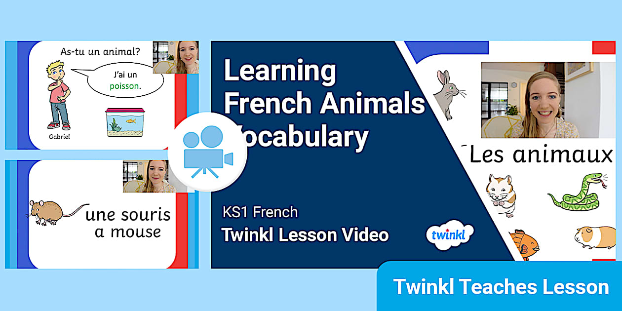 👉 KS1 (Ages 5-7) French: Animals Video Lesson