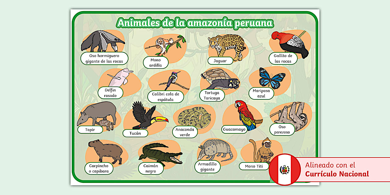 Afiche: Animales de la selva (Perú) (teacher made) - Twinkl