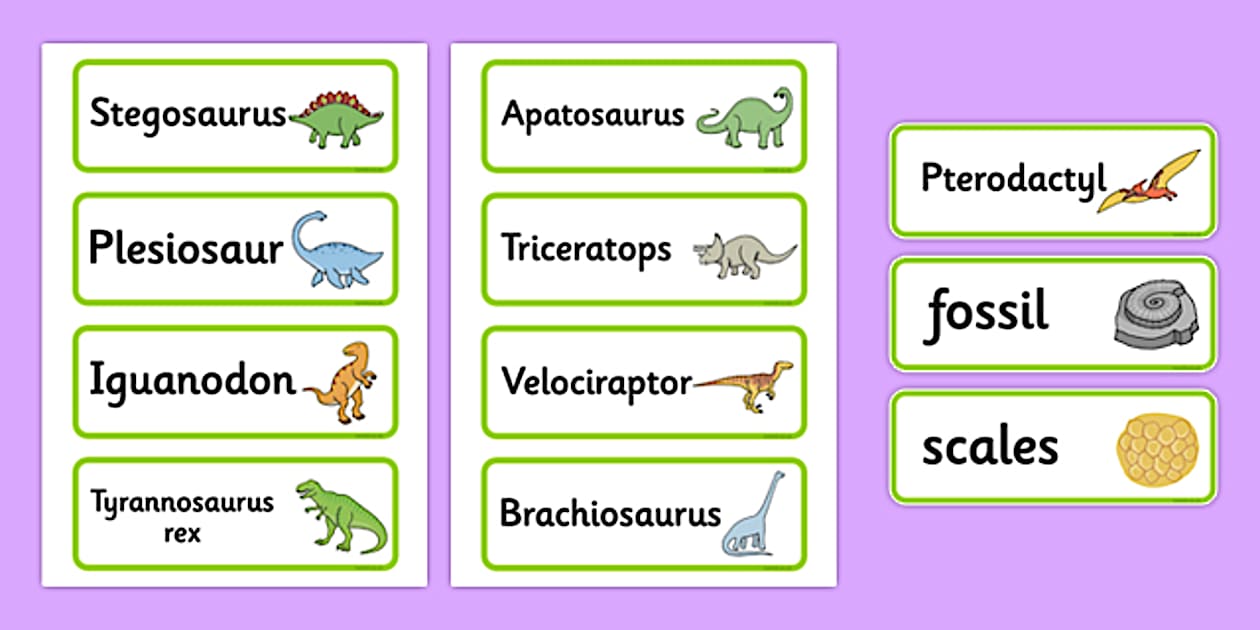 Dinosaurs Vocabulary Cards - ESL Dinosaur Words - Twinkl