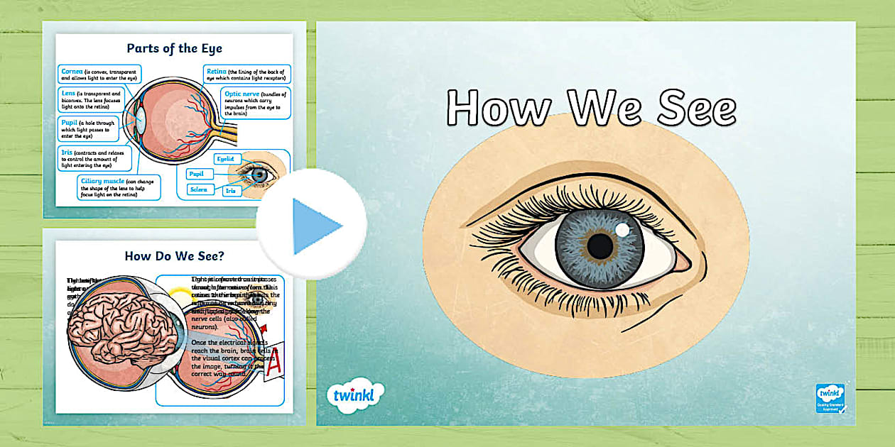 How We See PowerPoint (teacher made) - Twinkl