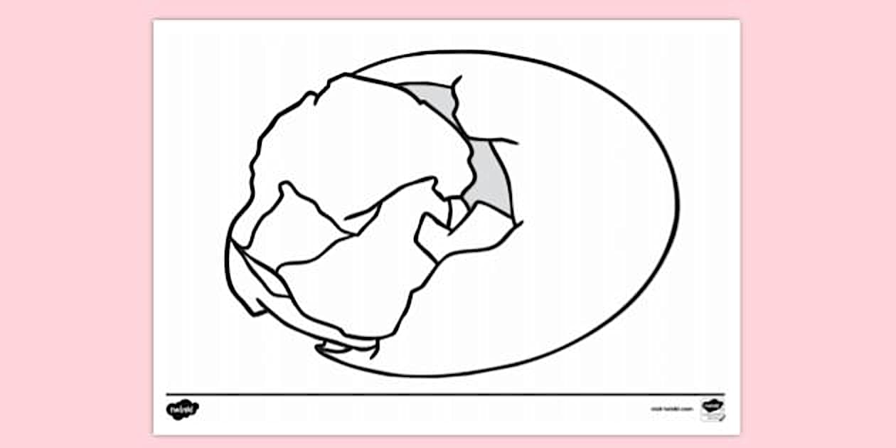 Empty Hatched Egg Colouring | Colouring Sheets - Twinkl