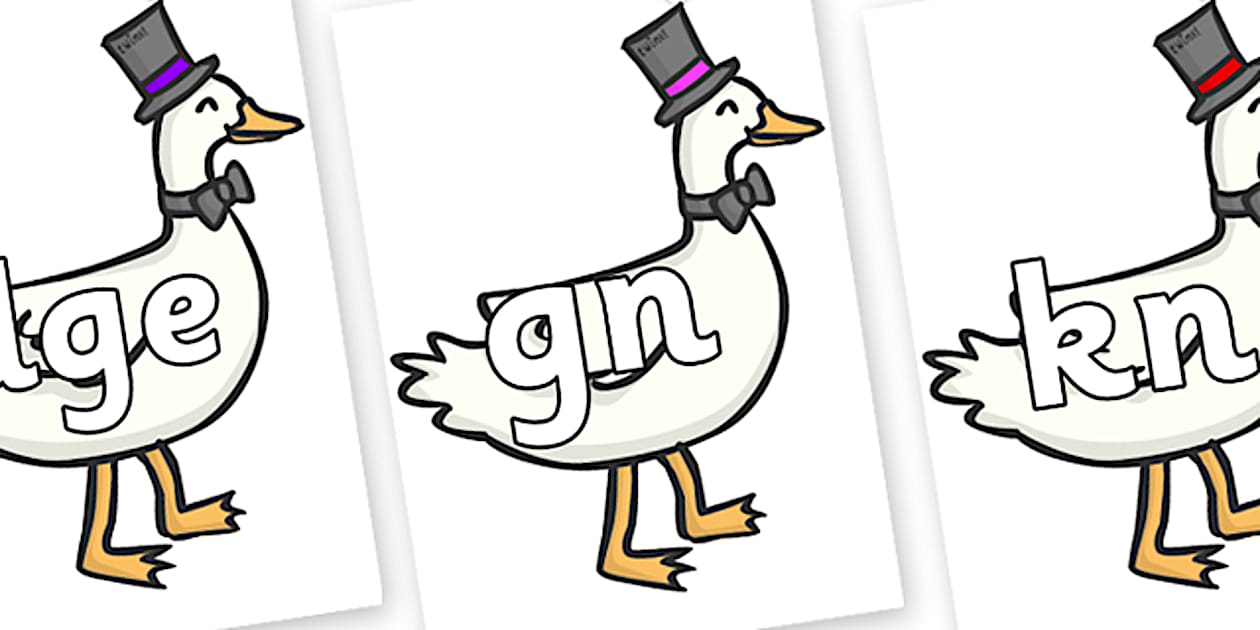 Silent Letters on Goose (teacher made) - Twinkl