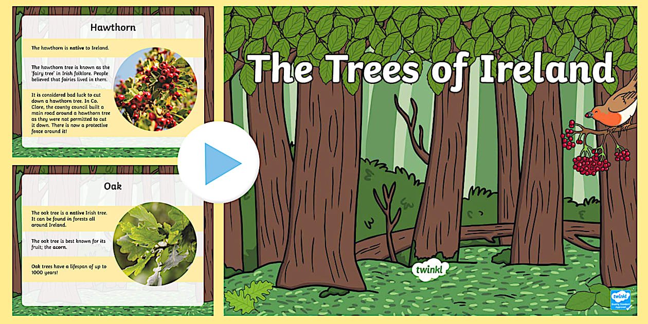 The Trees of Ireland PowerPoint - NI - ROI- National Tree Week 5th