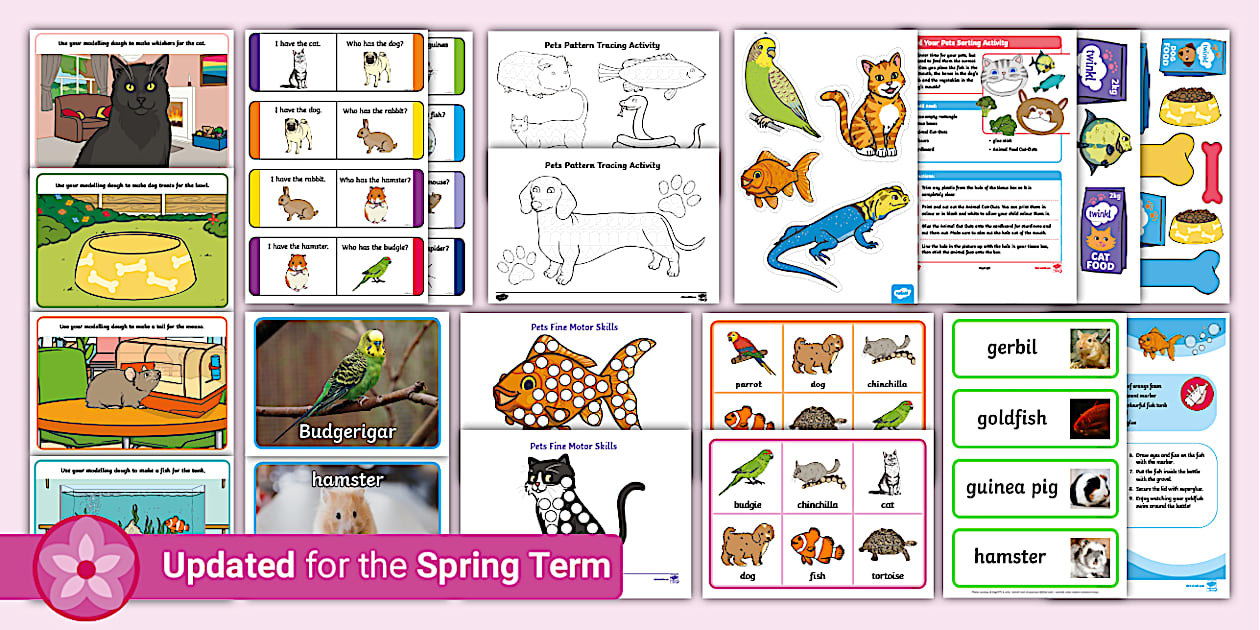 Childminder Pets Resource Pack (teacher made) - Twinkl