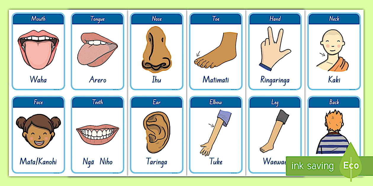 Editable Māori Body Language Flashcards (teacher made)