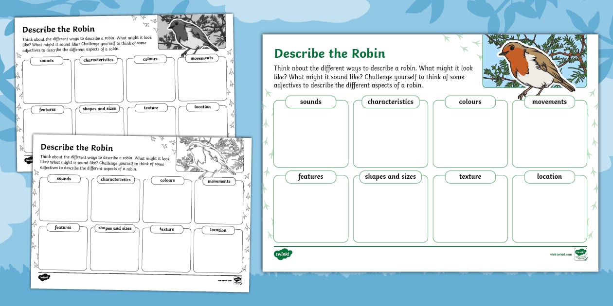 Robins Adjectives Worksheet - Twinkl English - Twinkl