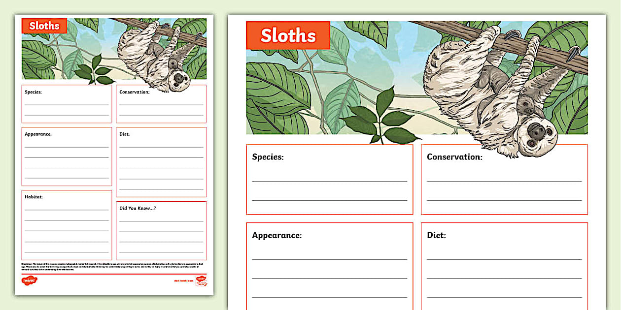 Sloths Fact File Template (teacher made) - Twinkl