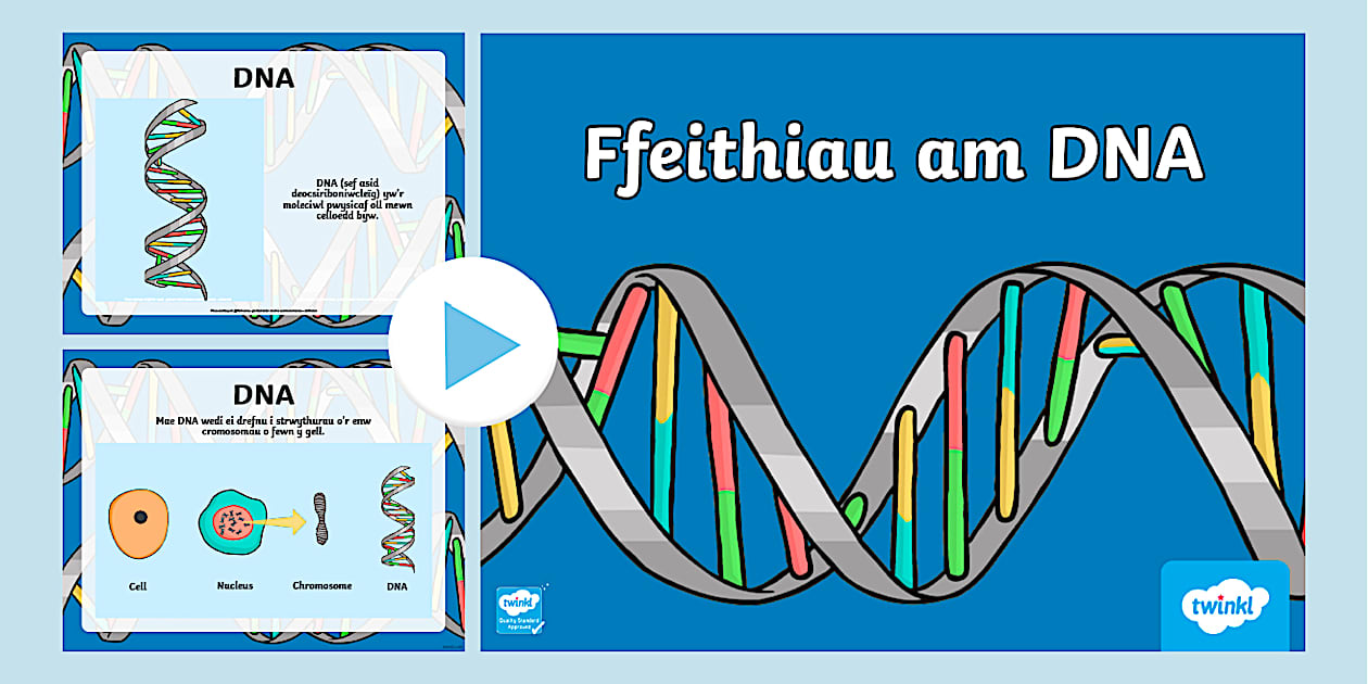 Pŵerbwynt Ffeithiau am DNA