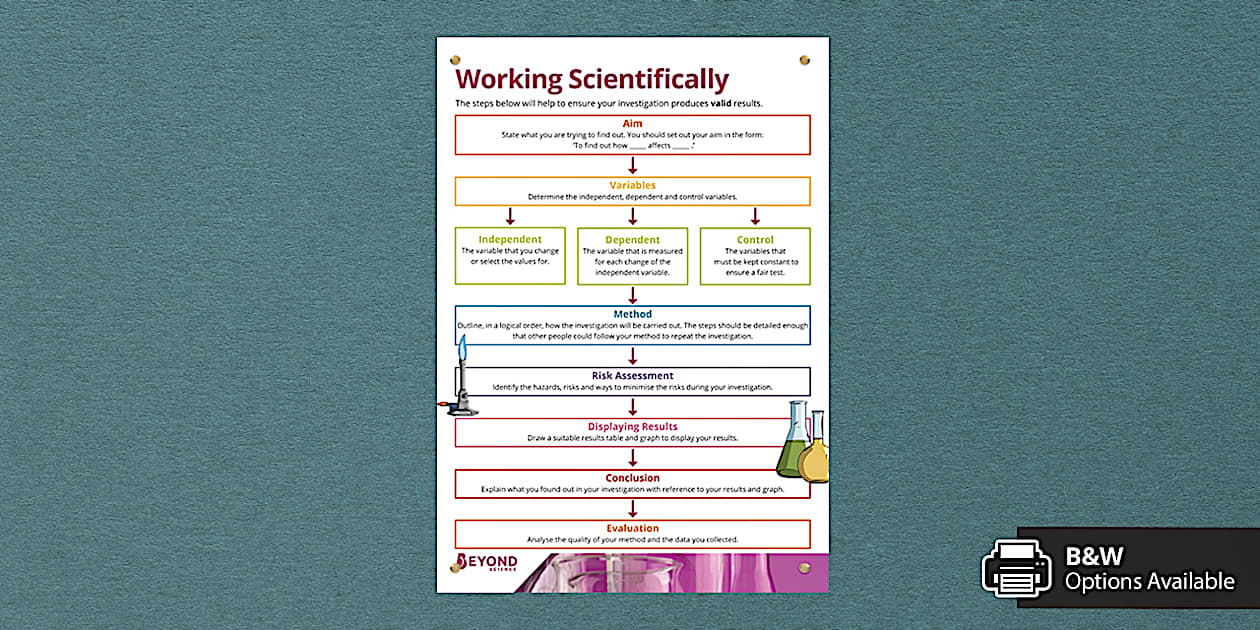 Working Scientifically Poster (teacher made) - Twinkl