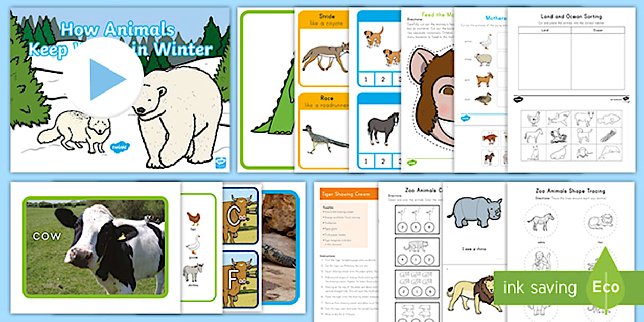 Editable Kindergarten Animals Activity Pack (teacher made)