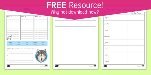 FREE! - Term 2 Week 4 Year 3 & 4 Chapter Chat Resource Pack to Support