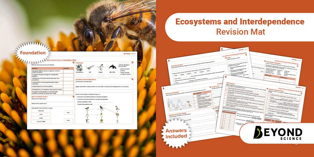 KS3 Ecosystems and Interdependence Foundation Revision Mat
