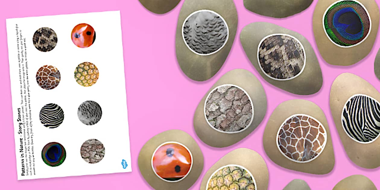 Patterns in Nature Story Stone Image Cut Outs - Twinkl