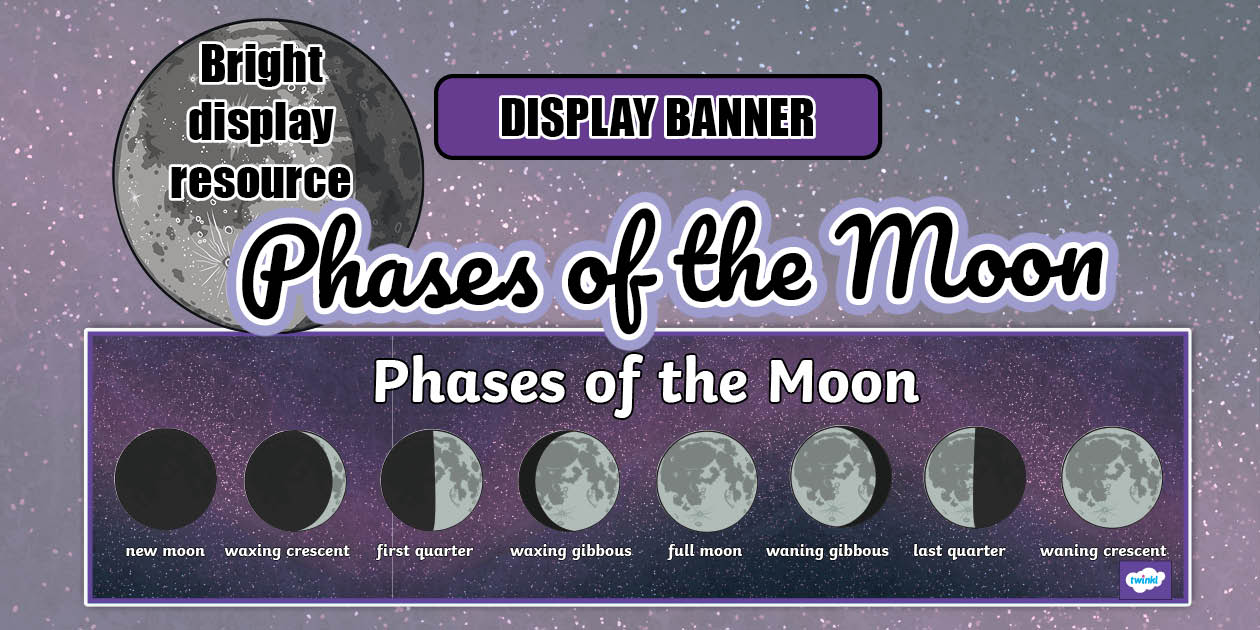 Phases of the Moon Display Banner