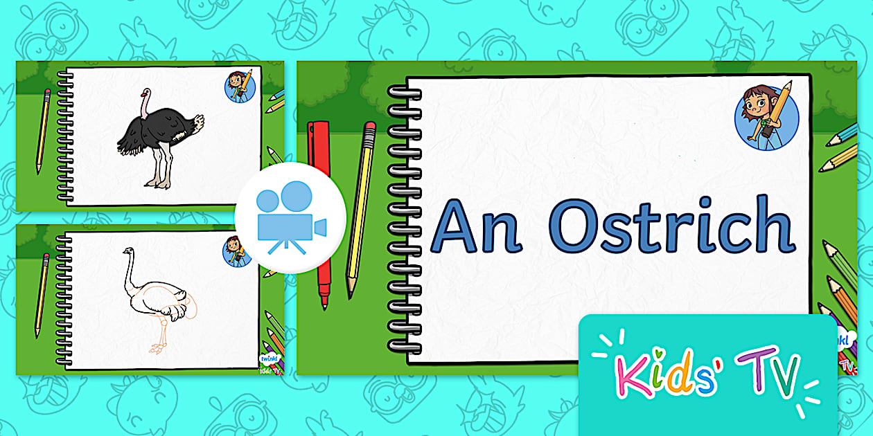 How to Draw an Ostrich! Drawing Tutorial for Kids - Twinkl