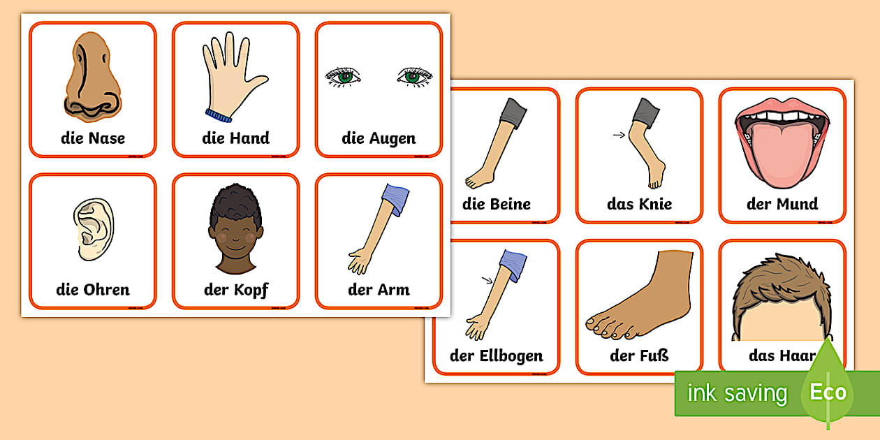 Parts of the Body Snap Card Game German - Twinkl