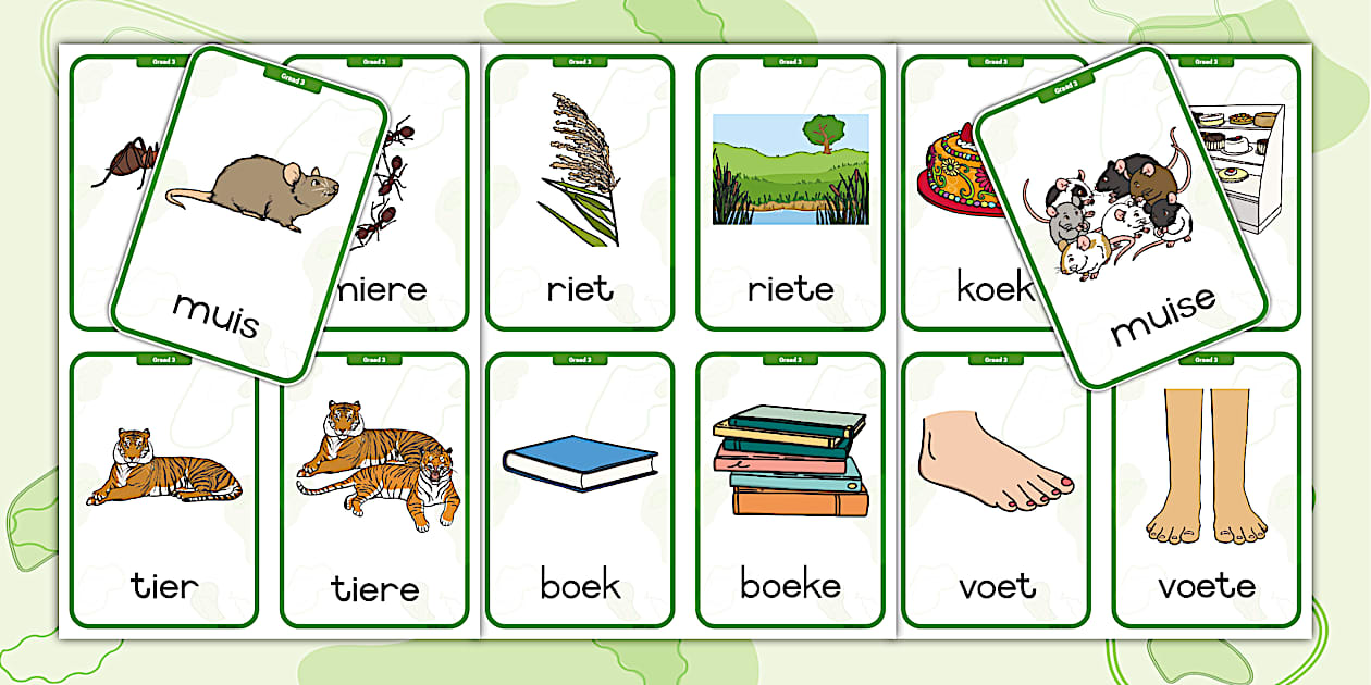 Graad 3 Klanke: Meervoude mier - miere Flitskaarte - Twinkl