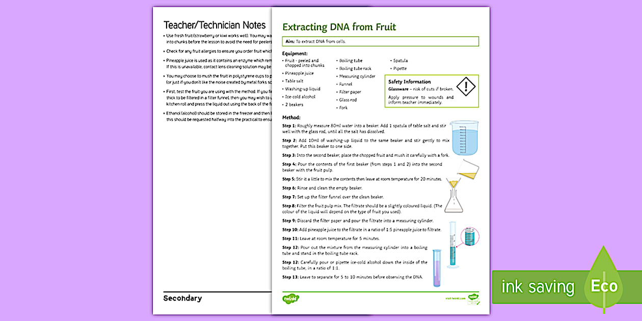 Extracting DNA from Fruit Investigation Instruction Sheet
