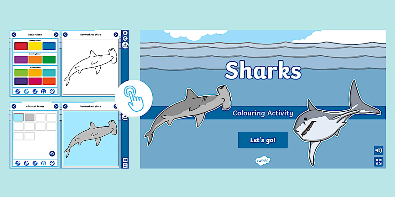 Shark Interactive Colouring (teacher made) - Twinkl