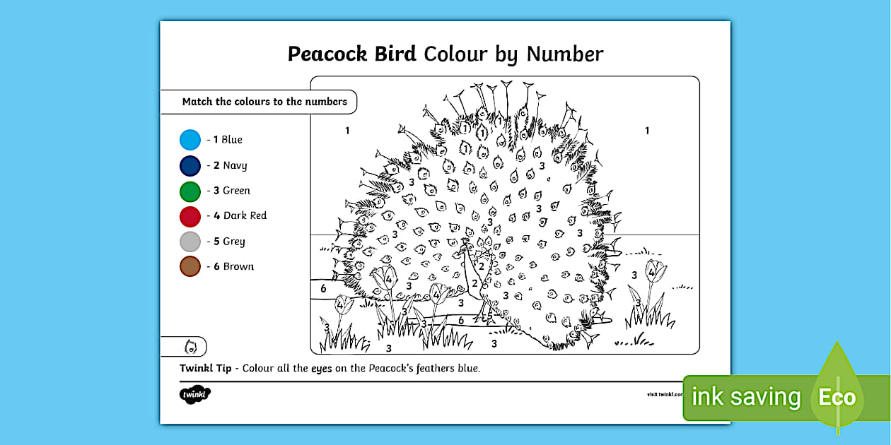 Peacock Bird Colour-by-Number Worksheet | Twinkl | KS1