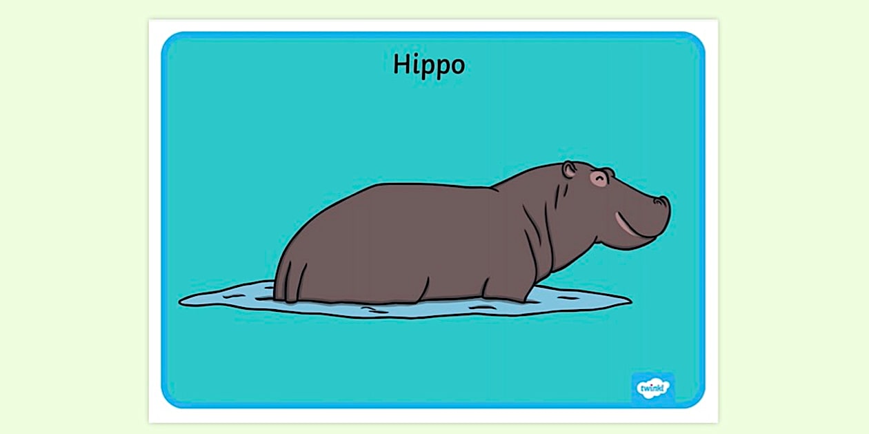Hippo Poster for Kids | Kindergarten & KS1 Resources | Twinkl