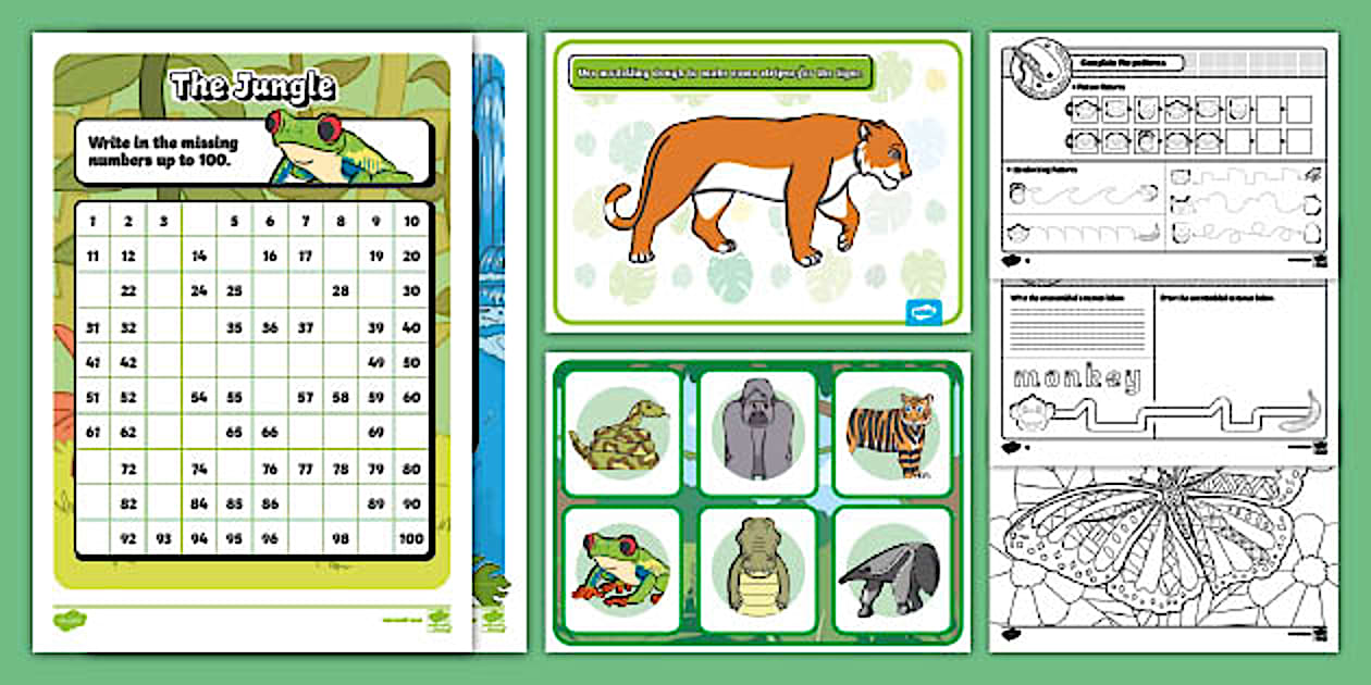 Top Ten Jungle Activity Pack (teacher made) - Twinkl