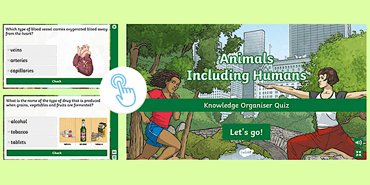 Science: Animals Including Humans: Year 6: Interactive Quiz