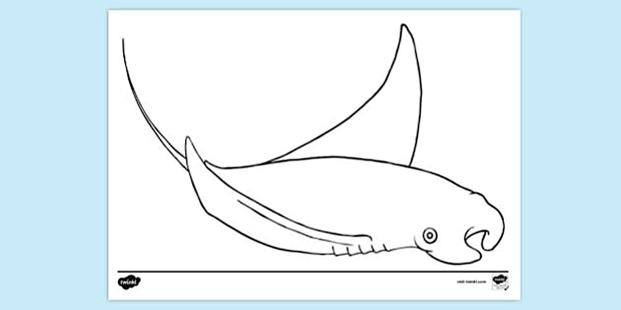 Mantaray Colouring | Colouring Sheets (Teacher-Made)