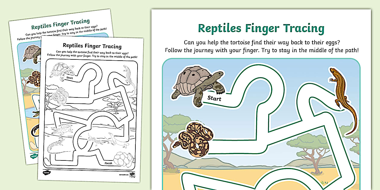 Reptiles Finger Tracing Activity (Teacher-Made) - Twinkl