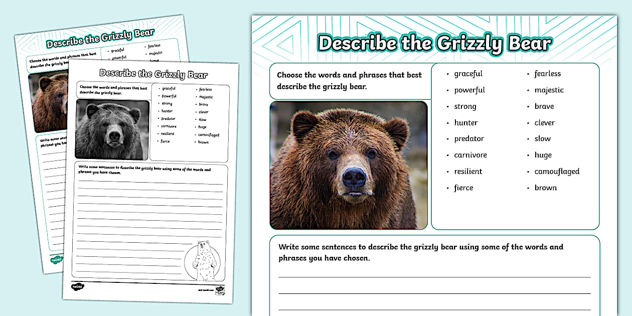 Describe a Grizzly Bear Worksheet (teacher made) - Twinkl