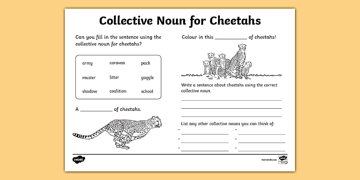 Collective Noun for Cheetahs Worksheet - Twinkl