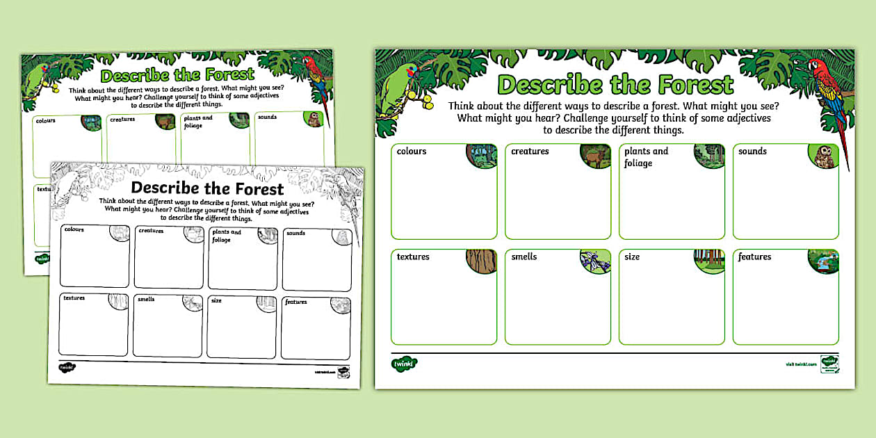 Forest Adjectives Worksheet (teacher made) - Twinkl
