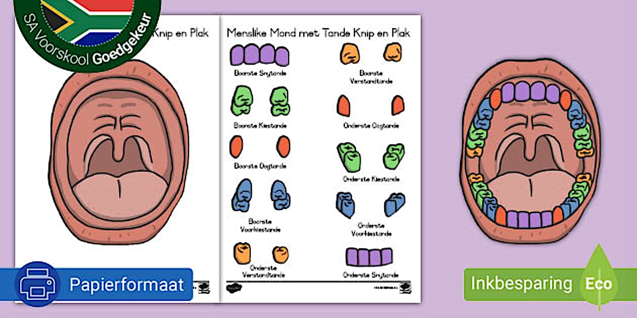 Verskillende Soorte Tande Aktiwiteit (teacher made) - Twinkl