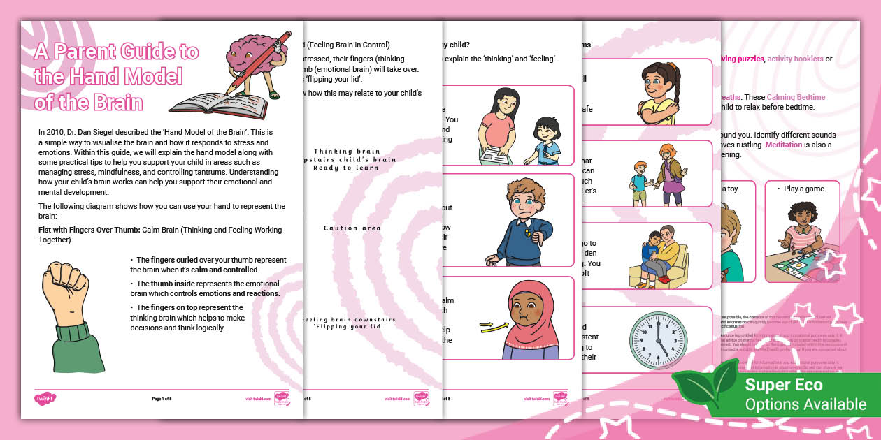 A Parent Guide to the Hand Model of the Brain (teacher made)