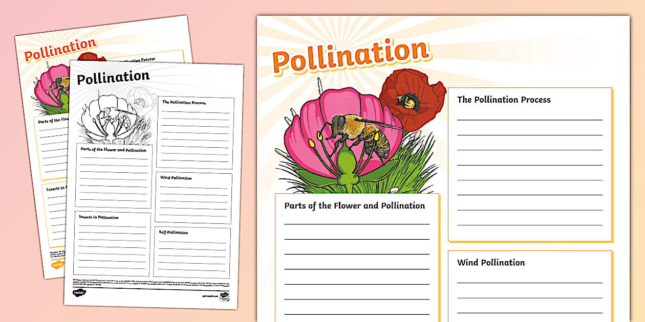 KS2 Pollination Fact File Template (teacher made) - Twinkl