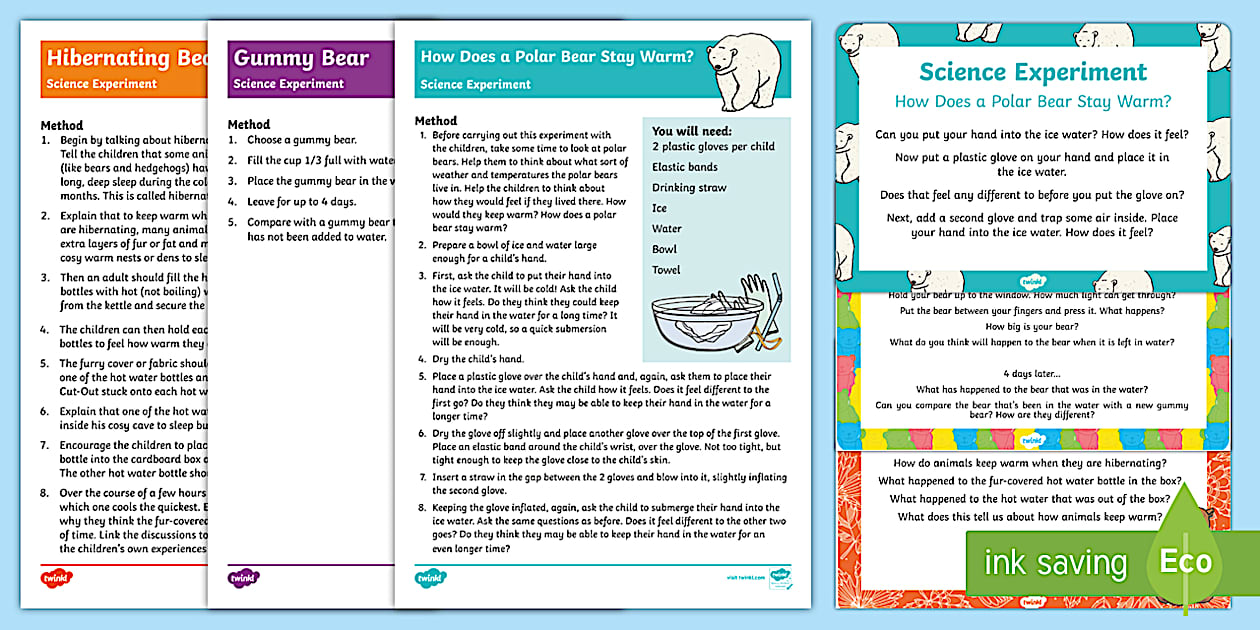 EYFS Bears Science Experiments Resource Pack - Twinkl