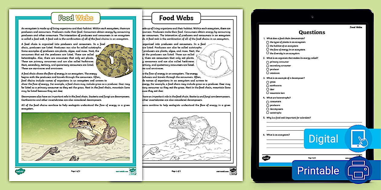 Third Grade Food Webs Reading Comprehension Worksheet