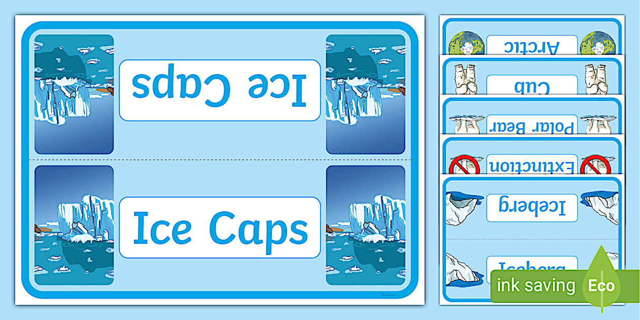 Polar Bear Table Signs (Teacher-Made) - Twinkl