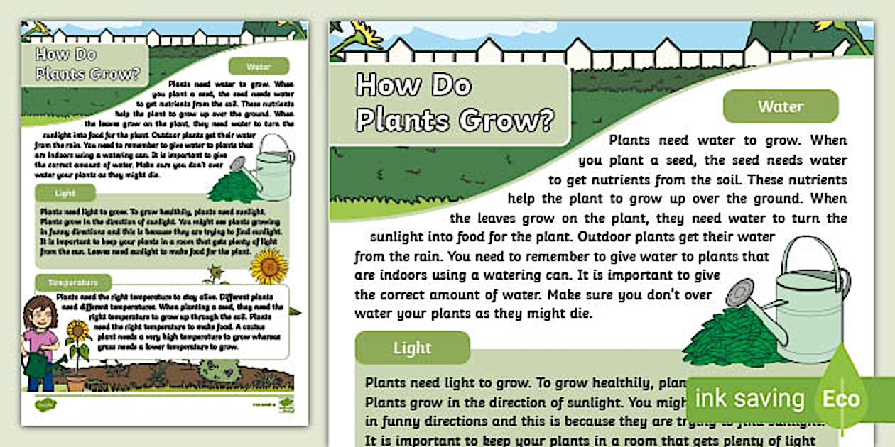 How Do Plants Grow Fact File