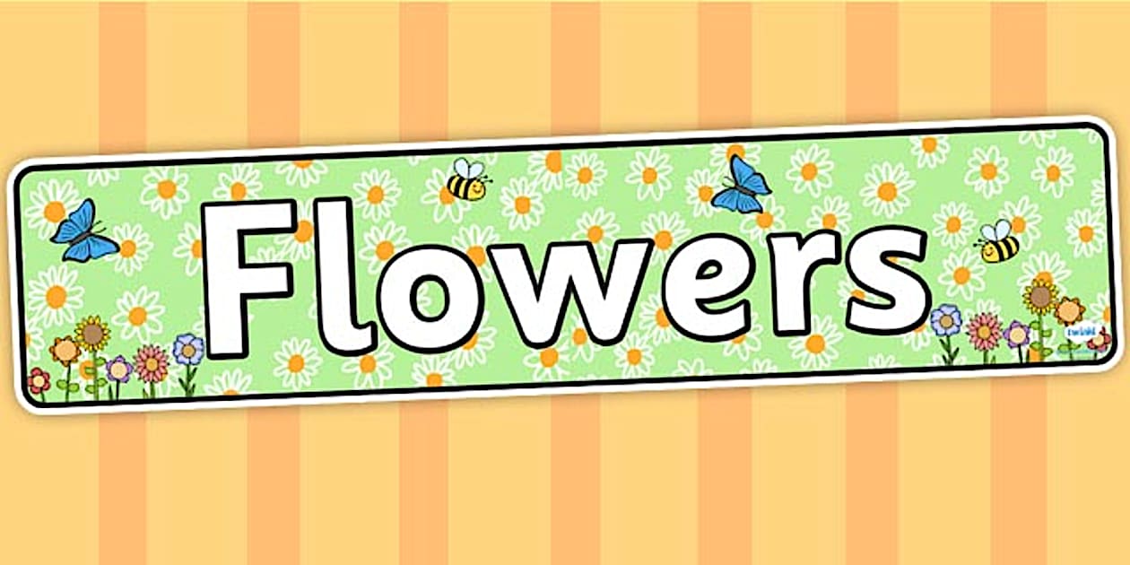 Flowers Display Banner (teacher made) - Twinkl