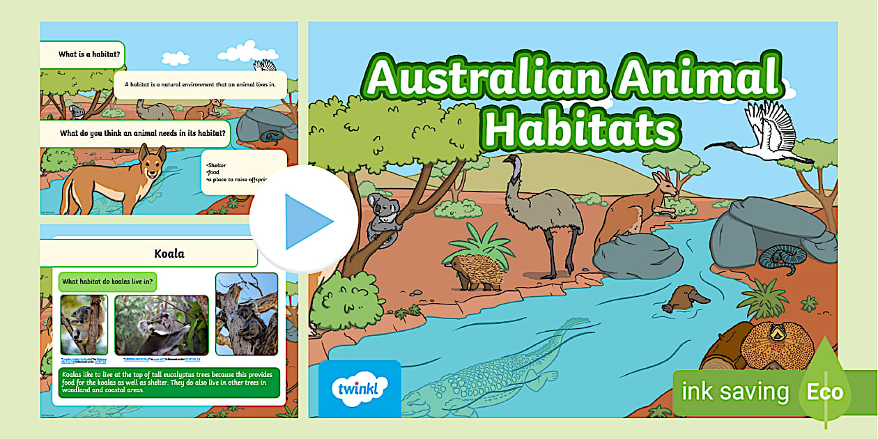 Australian Animal Habitats